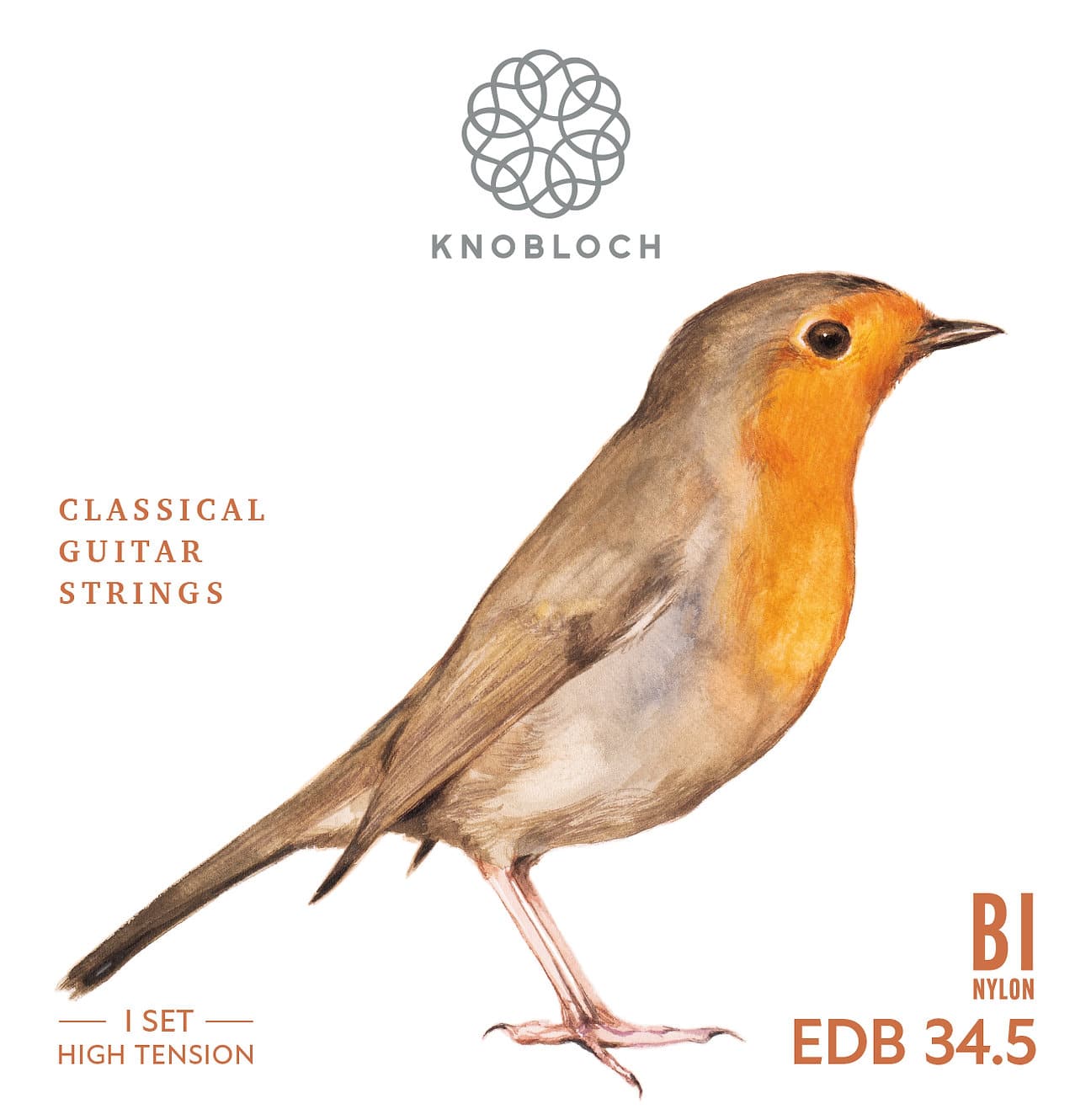 Knobloch Erithacus BIO - High | Classical Guitar Academy